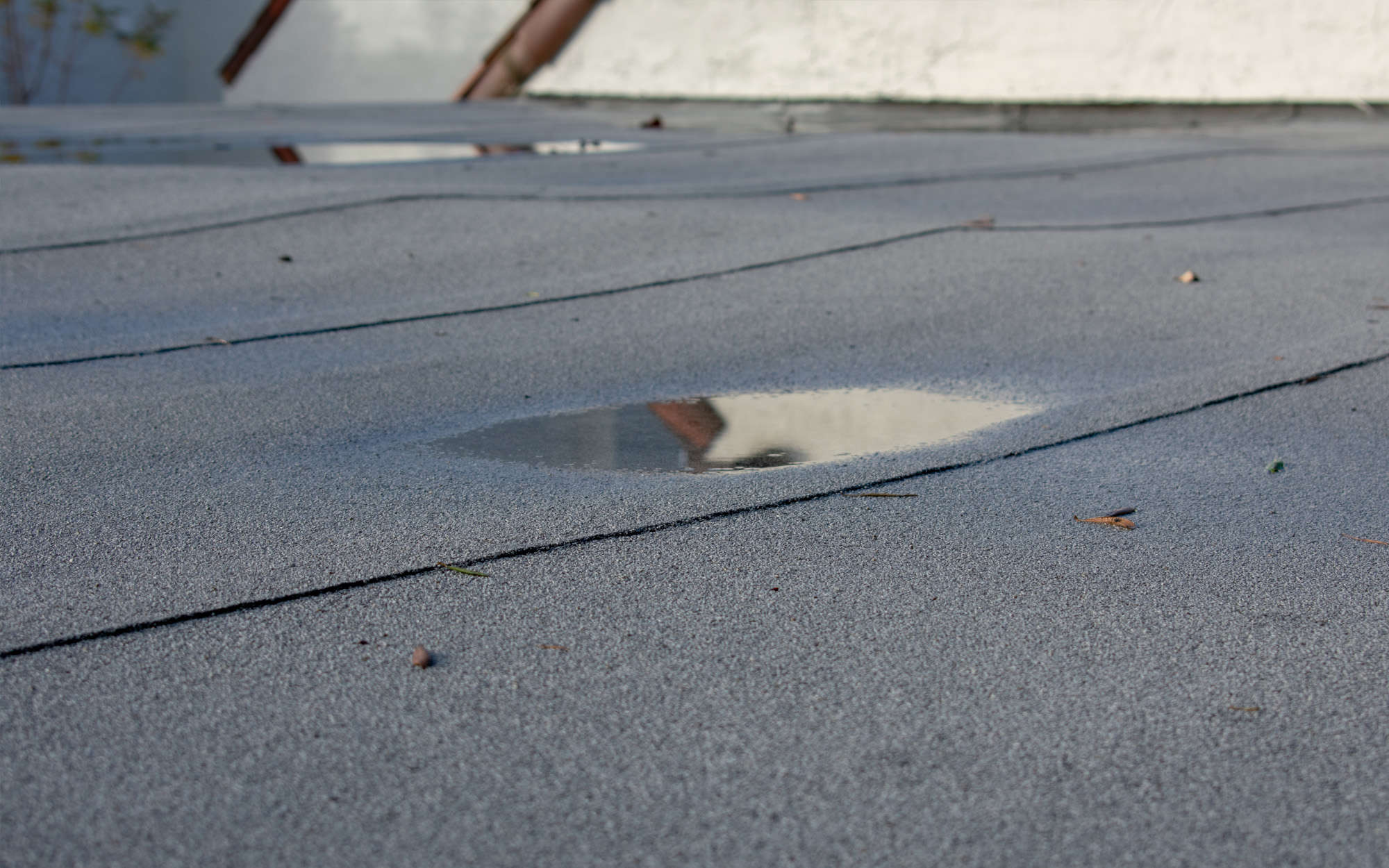 Your Guide to Preventing Roof Leaks - Trinity Commercial Roofing